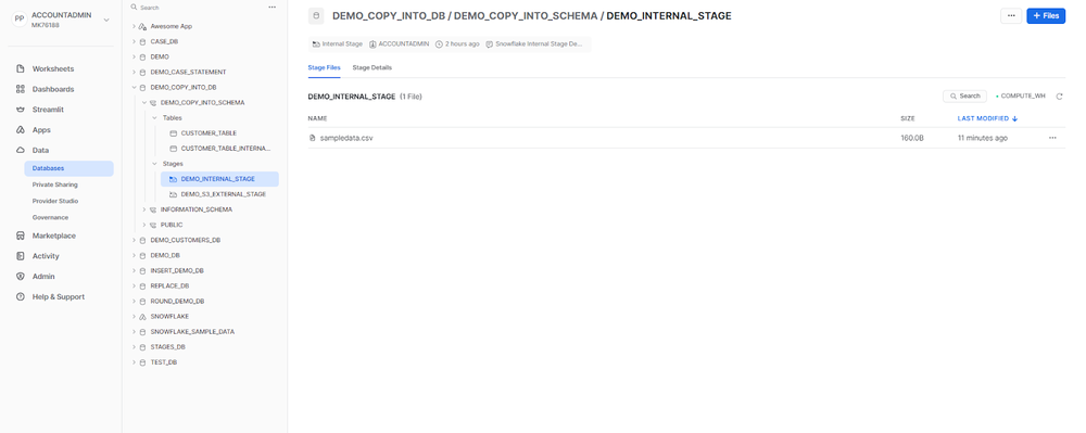 HOW TO: Use Snowflake COPY INTO to load/unload data (2026)