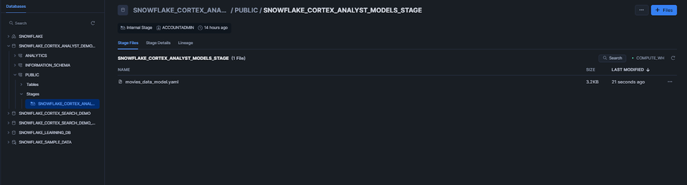 Snowflake Cortex Analyst 101: Launch your chat analytics app (2026)