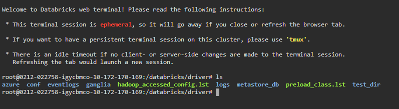 HOW TO: Execute and run bash scripts in Databricks (2026)