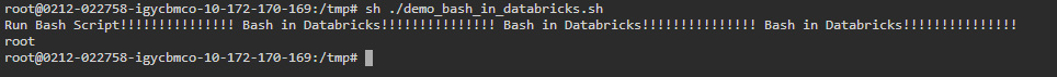 HOW TO: Execute and run bash scripts in Databricks (2026)