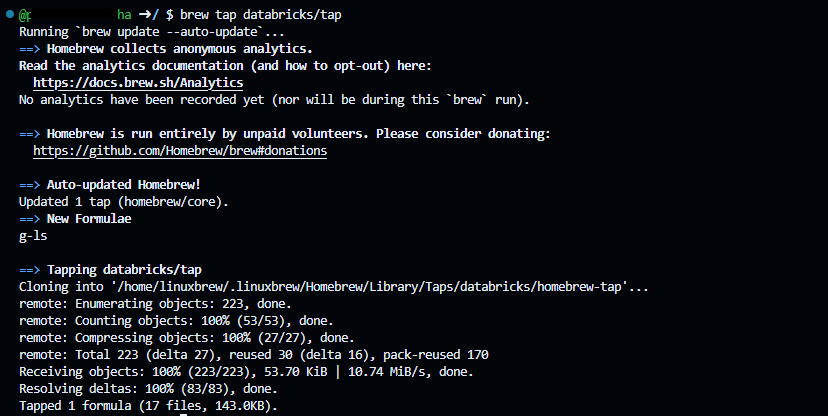 Databricks CLI 101: Step-by-step guide to effective CLI usage (2026)