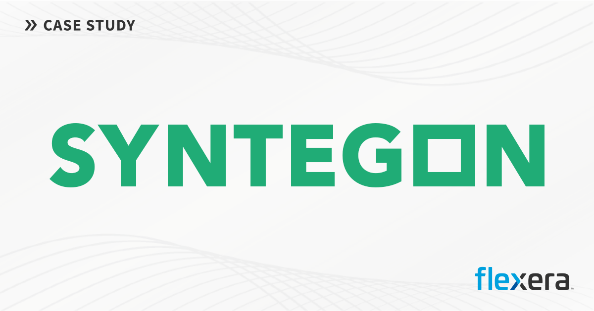 Syntegon case study