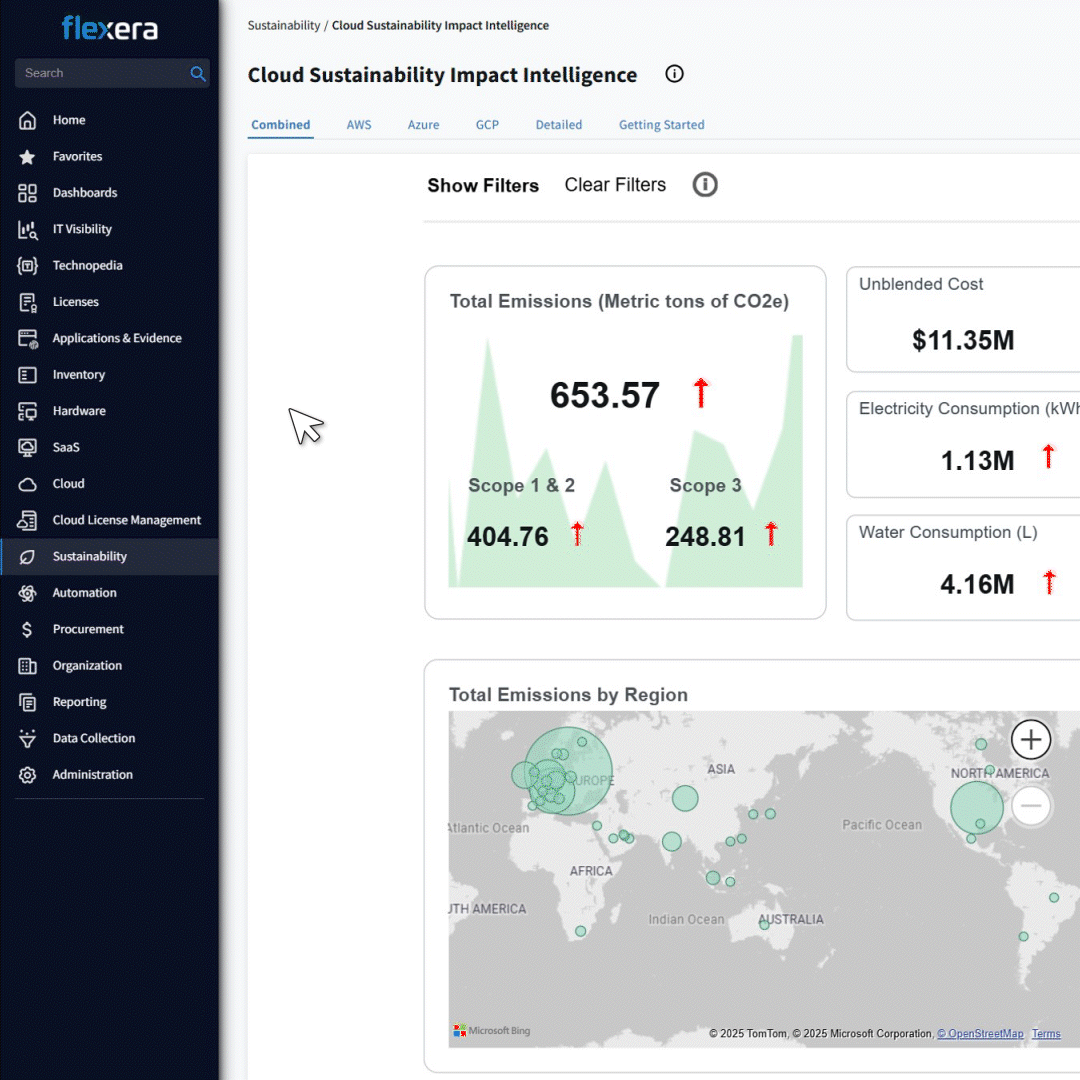 Manage your cloud costs with Flexera